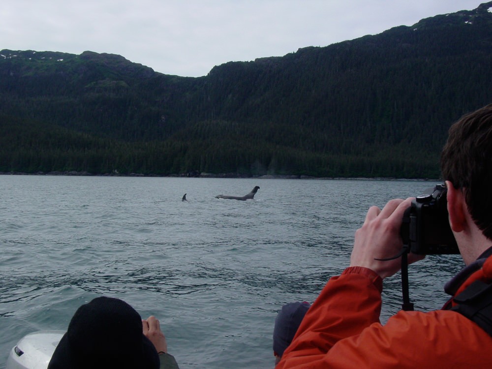 Anadyr Adventures | Single, multi-day, and lodge based… | ALASKA.ORG