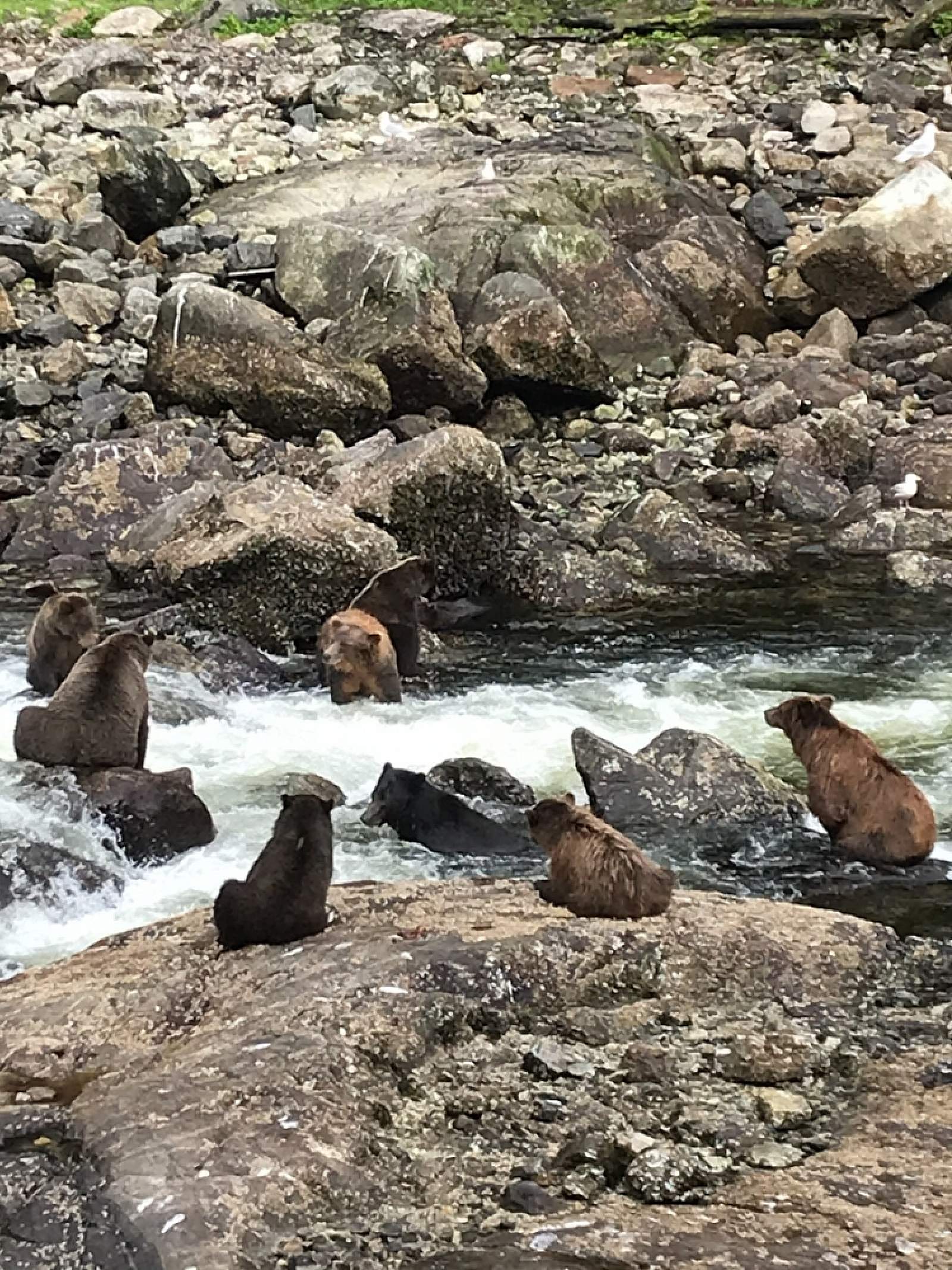 Bear Paw Charters | Luxurious Private Yacht in Sitka,… | ALASKA.ORG