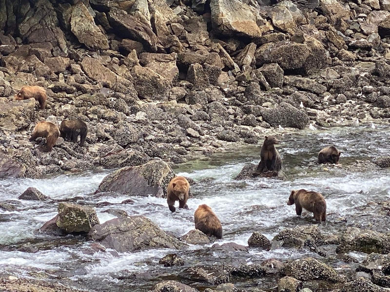 Bear Paw Charters | Luxurious Private Yacht in Sitka,… | ALASKA.ORG