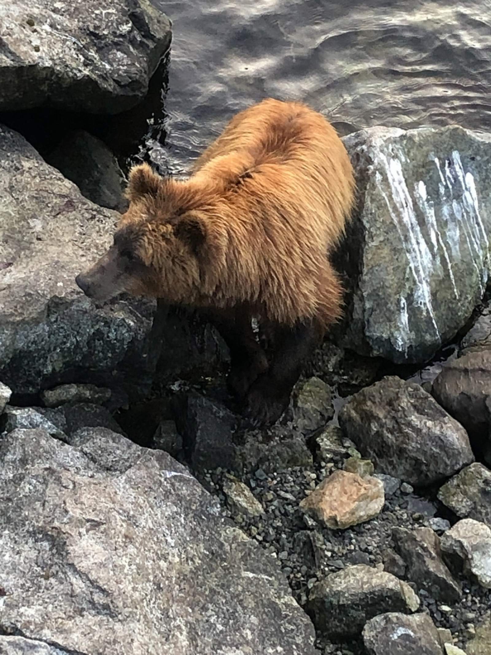 Bear Paw Charters | Luxurious Private Yacht in Sitka,… | ALASKA.ORG