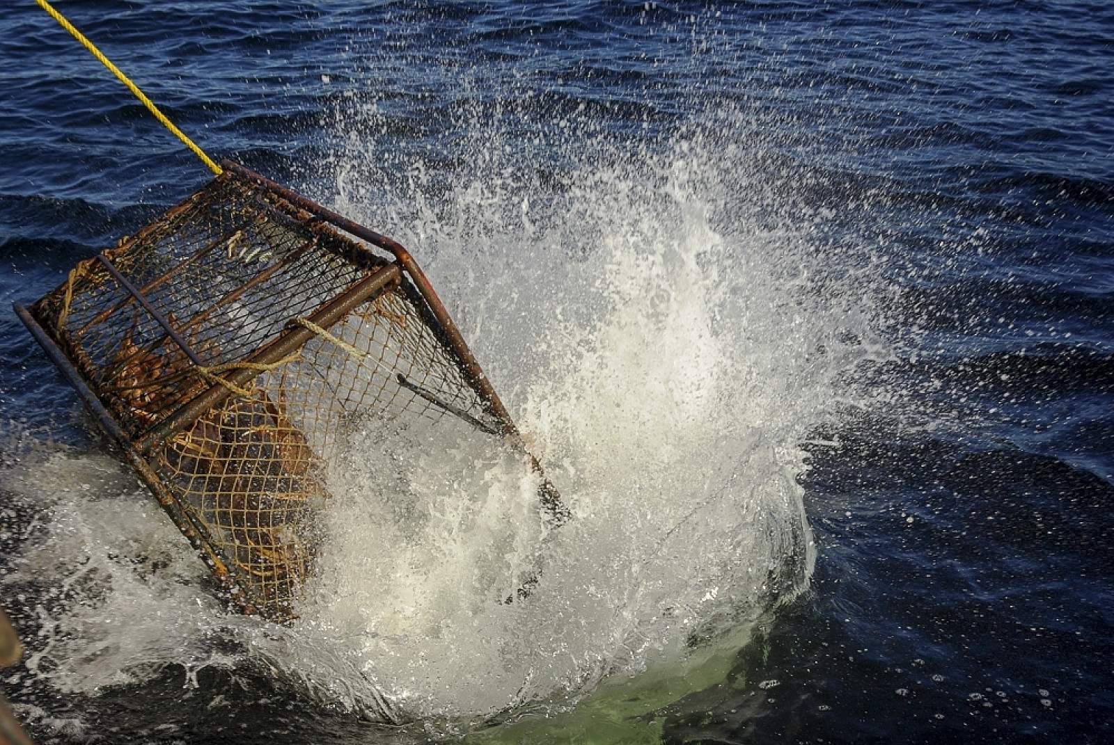 Bering Sea Crab Fishermen’s Tour | Ketchikan, Alaska | ALASKA.ORG
