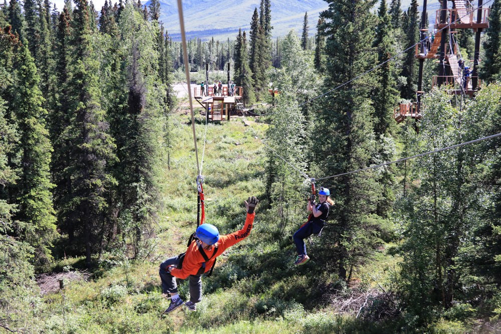 Denali Park Zipline Adventure | Mountain and Tundra Views | ALASKA.ORG