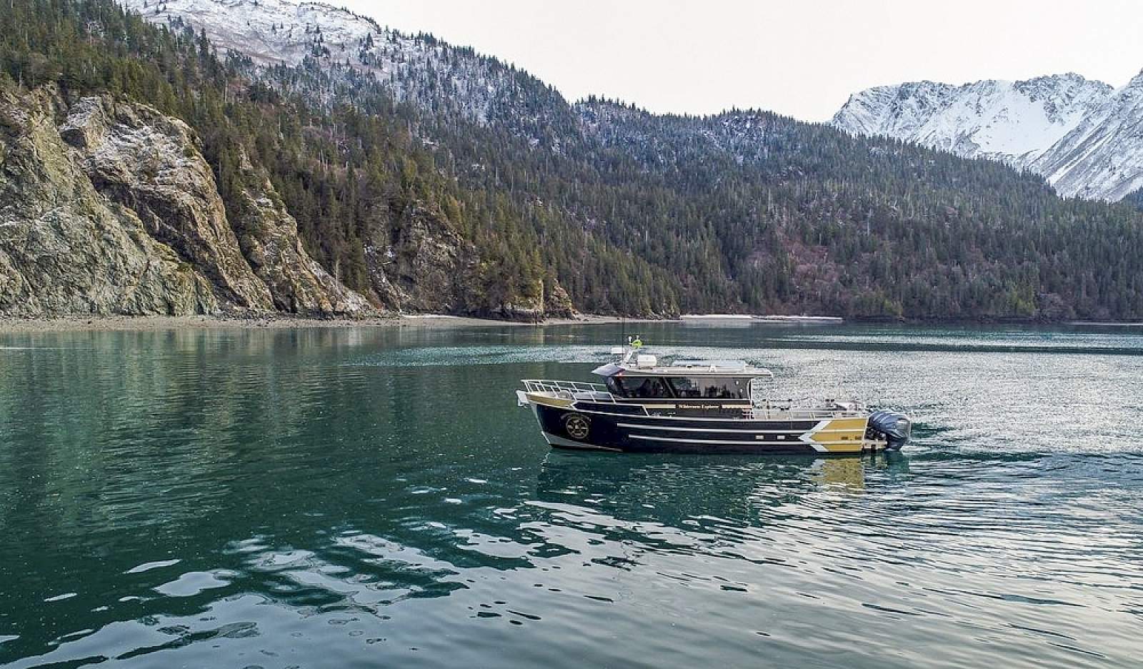 Destination Alaska: Custom Wildlife Cruise | Homer,… | ALASKA.ORG