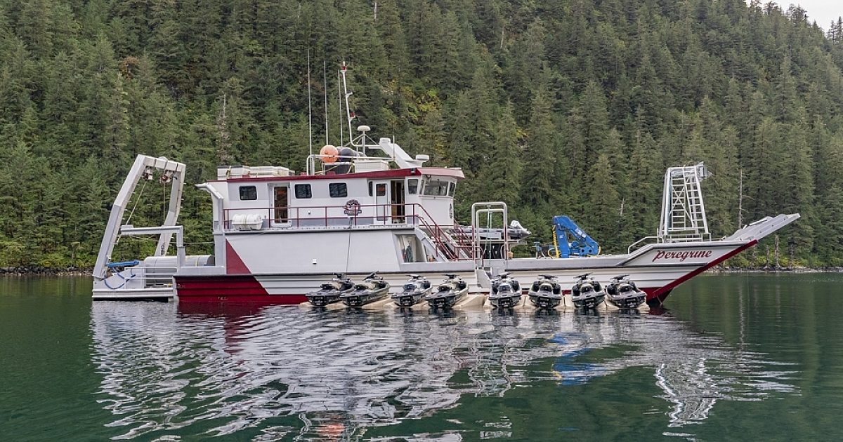 Destination Alaska: M/V Peregrine Ultimate Alaska… | ALASKA.ORG