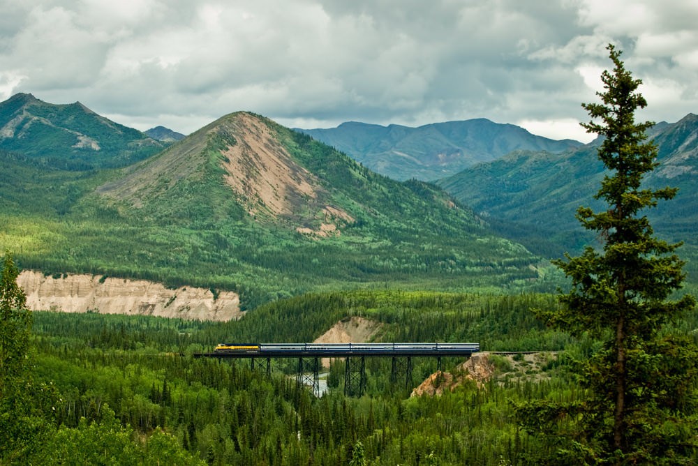 Princess Rail Tours | Train From Anchorage To Fairbanks | ALASKA.ORG