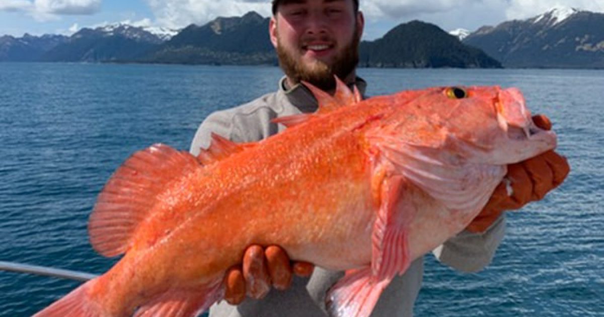 Homer Ocean Charters | Halibut Charters in Homer | ALASKA.ORG