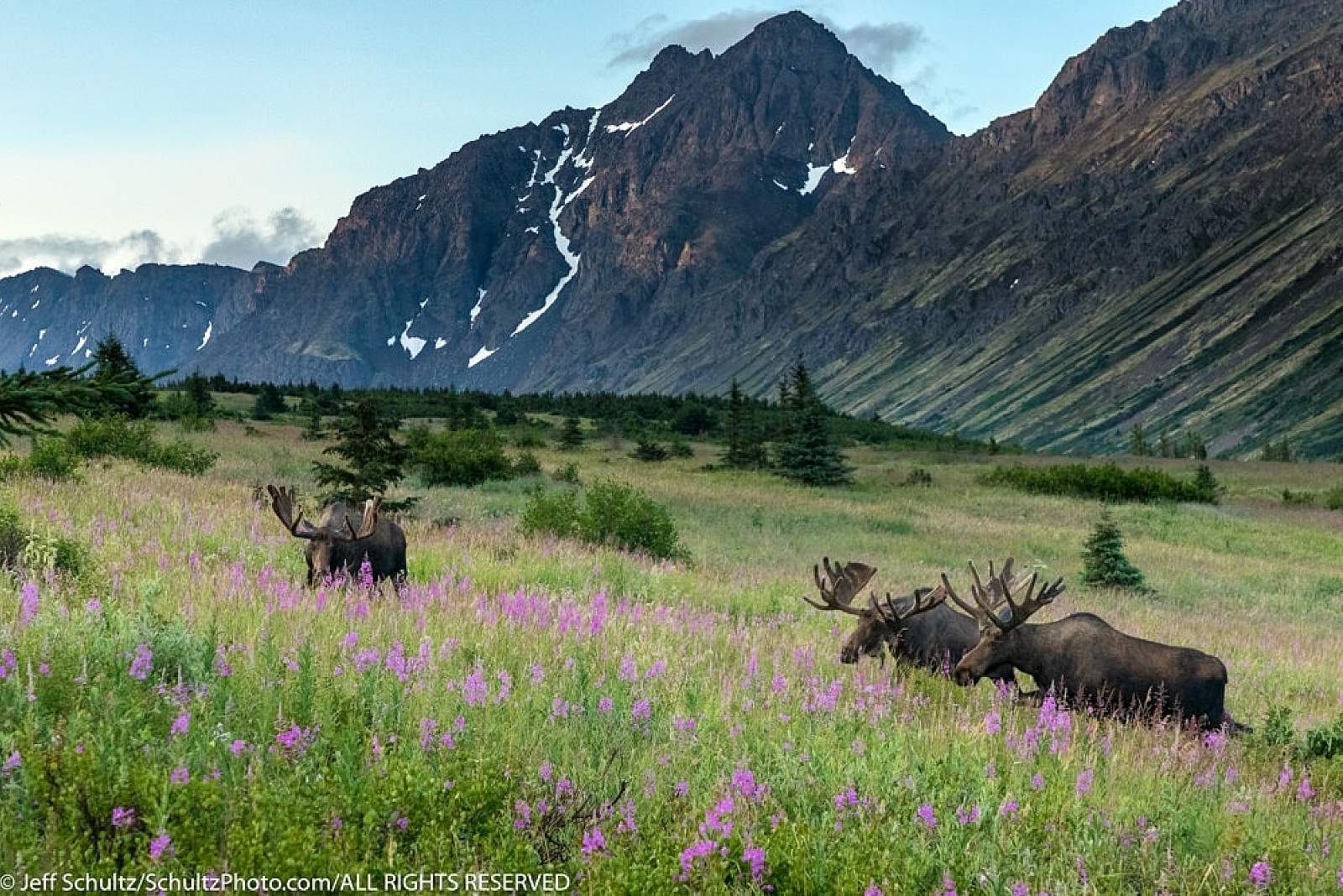 Jeff Schultz Photography | Travel Alaska with… | ALASKA.ORG
