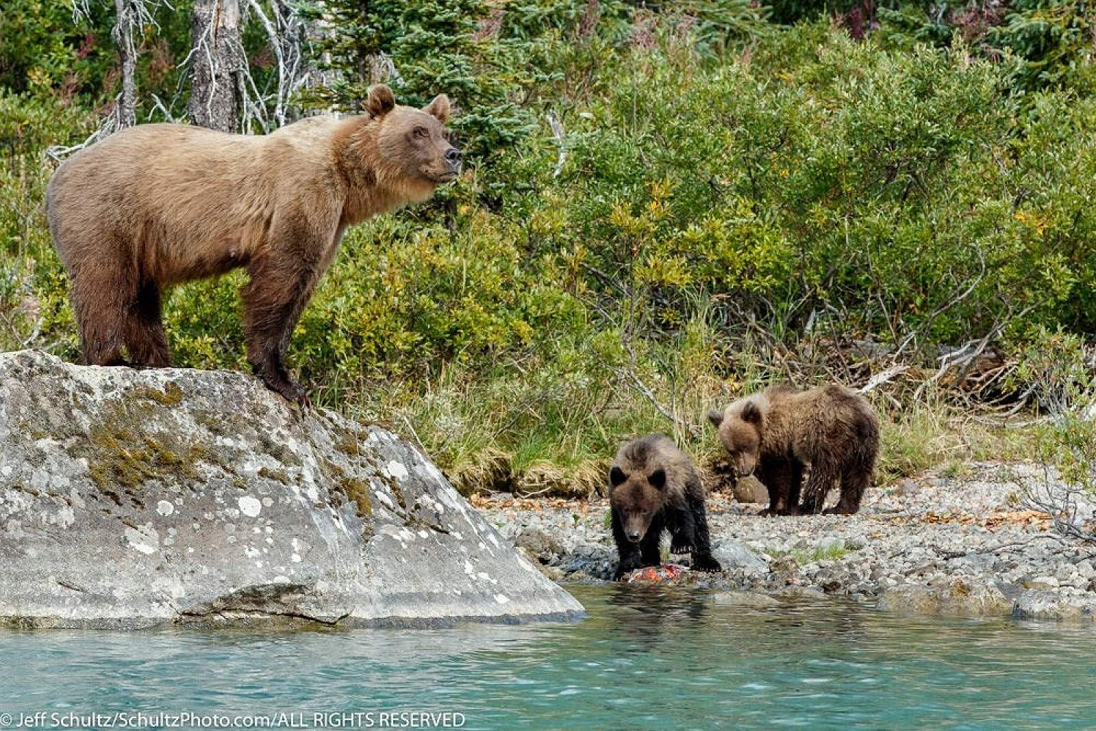 Custom Private Alaska Photo Tours with Jeff Schultz | ALASKA.ORG