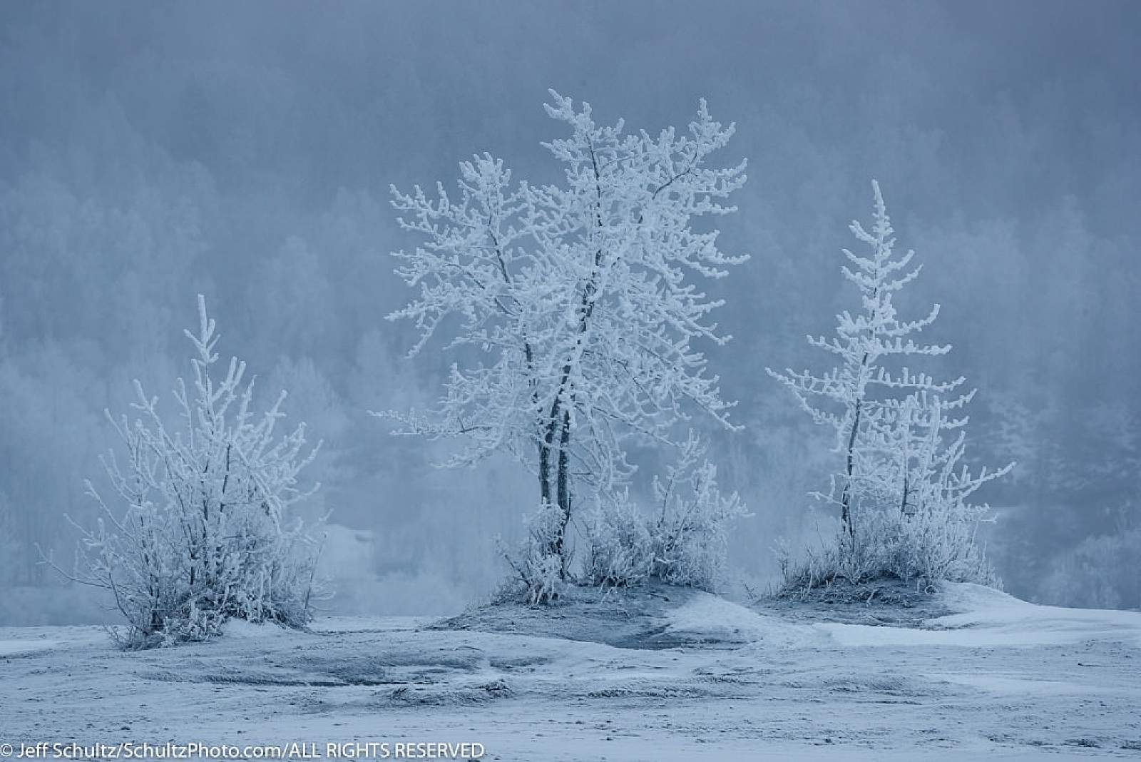 Jeff Schultz Photography | Travel Alaska with… | ALASKA.ORG