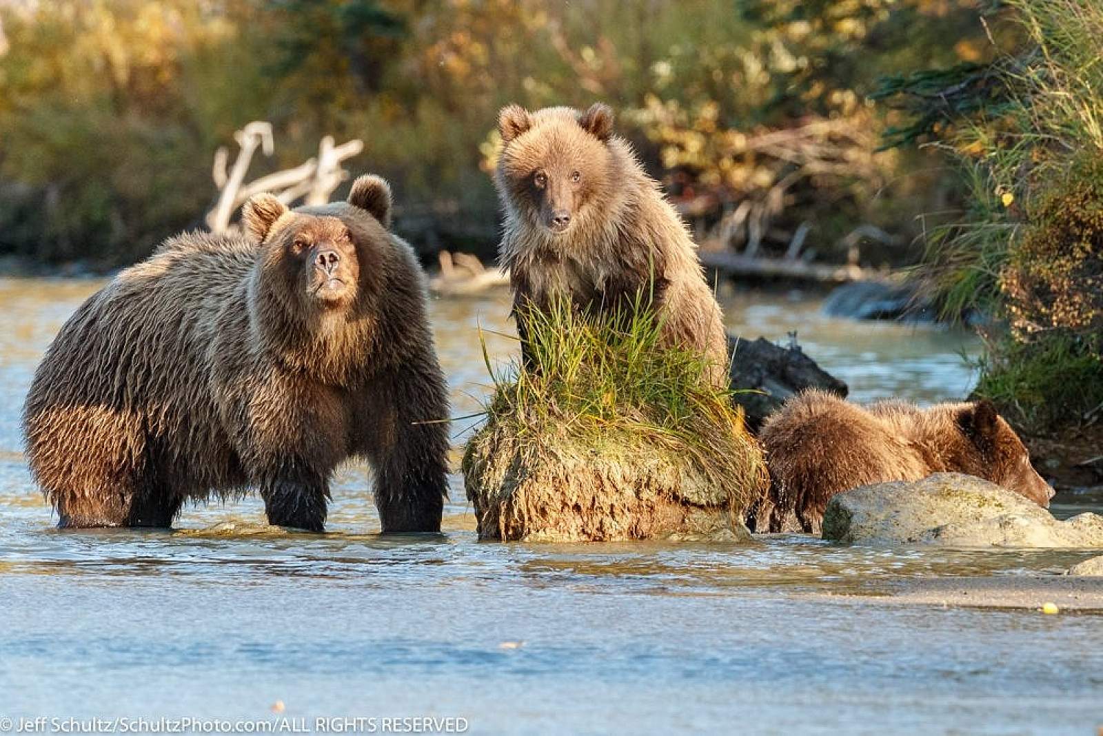 Jeff Schultz Photography | Travel Alaska with… | ALASKA.ORG