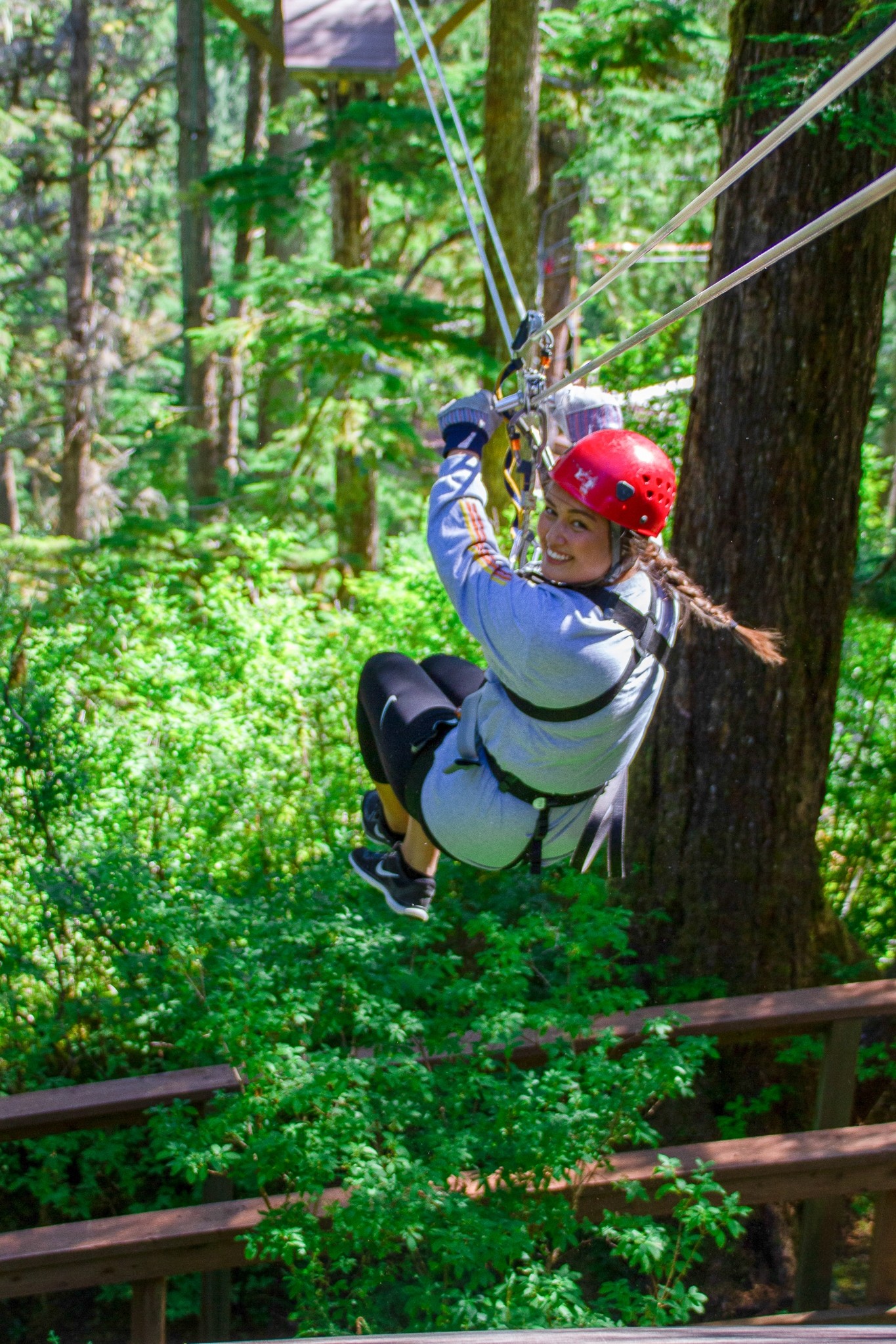 Aerial Zip & Rainforest Courses | Ketchikan, Alaska | ALASKA.ORG