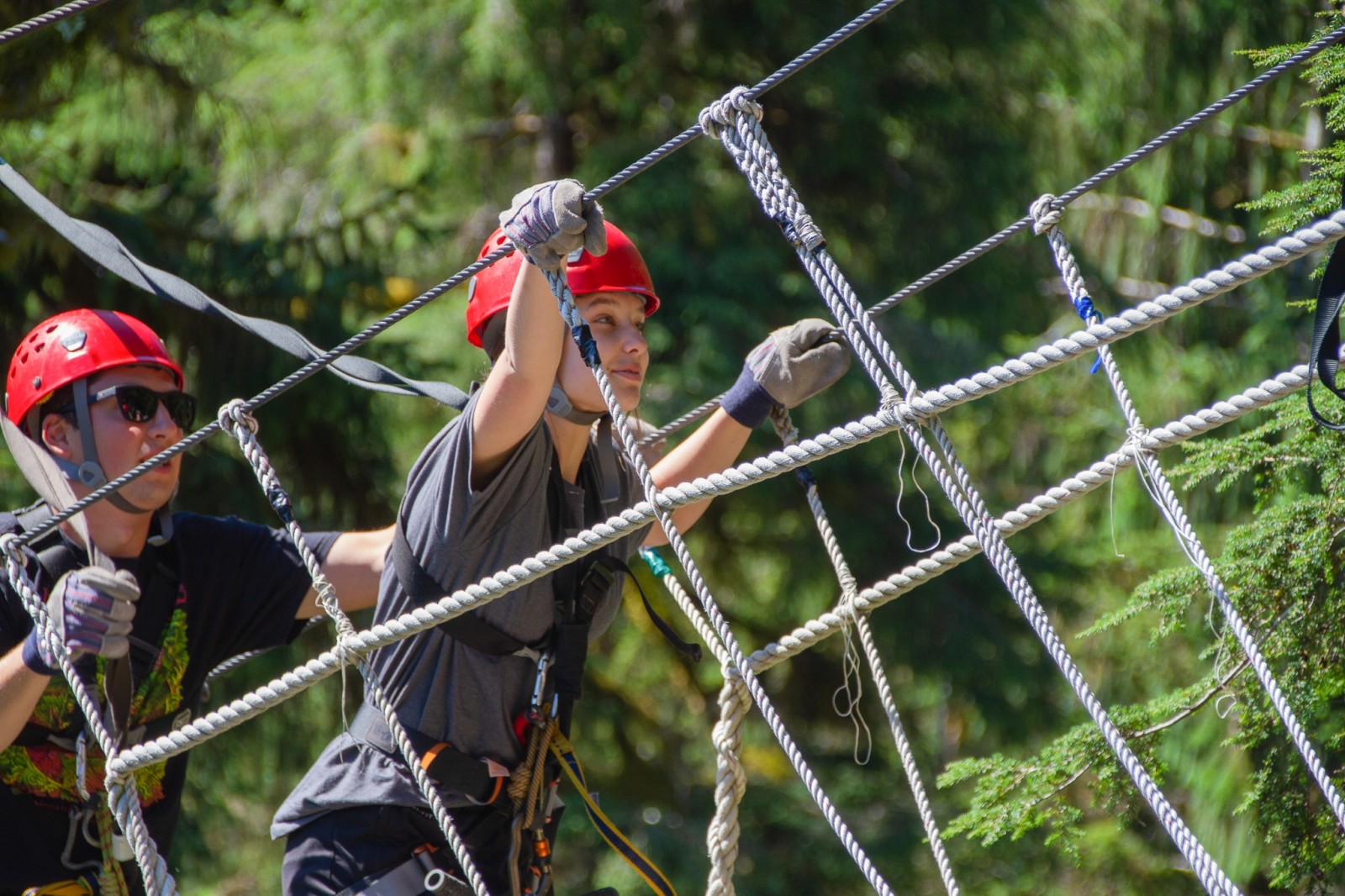 Aerial Zip & Rainforest Courses | Ketchikan, Alaska | ALASKA.ORG