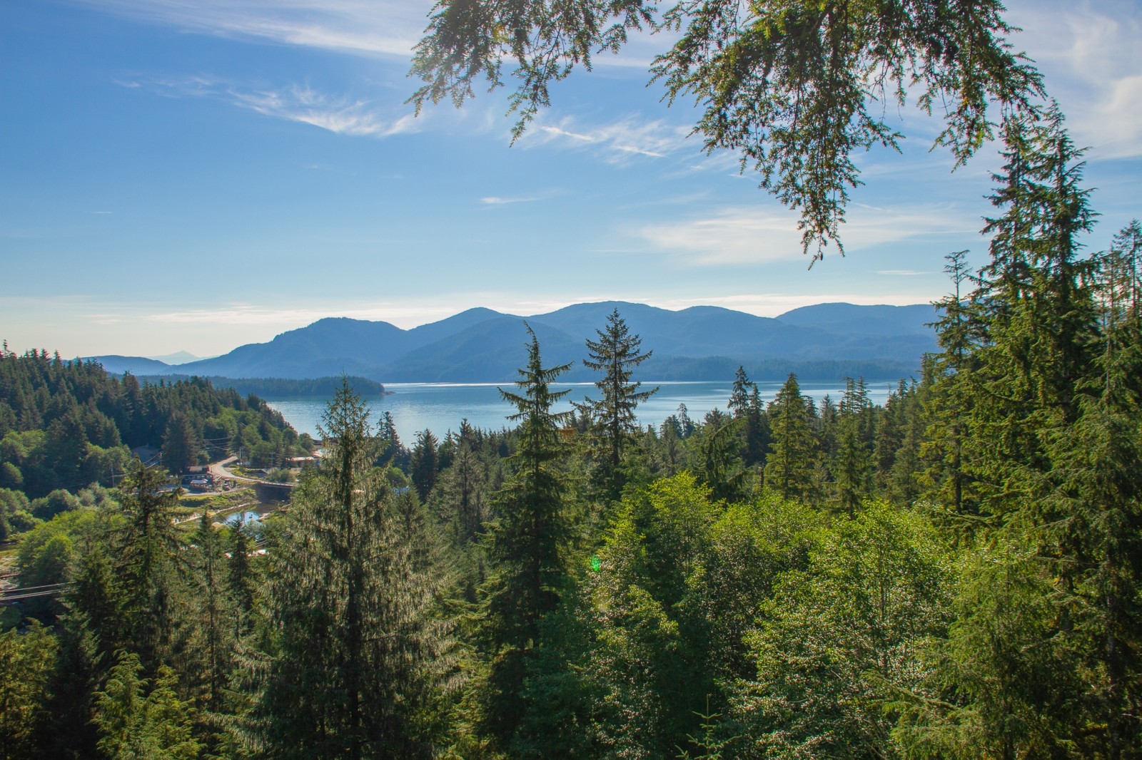 Aerial Zip & Rainforest Courses | Ketchikan, Alaska | ALASKA.ORG