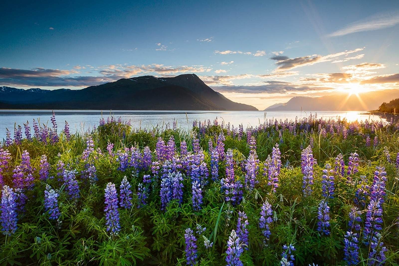 Michael DeYoung Custom Photography Tours in Alaska | ALASKA.ORG