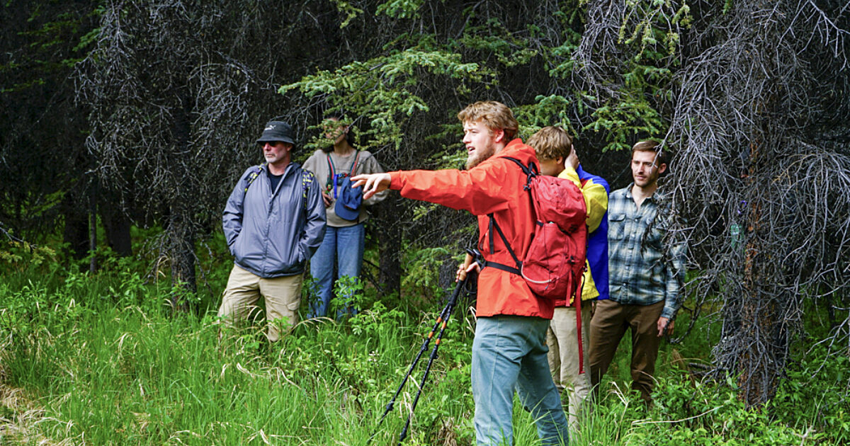 Northern Epics Guided Hiking & Naturalist Tours |… | ALASKA.ORG