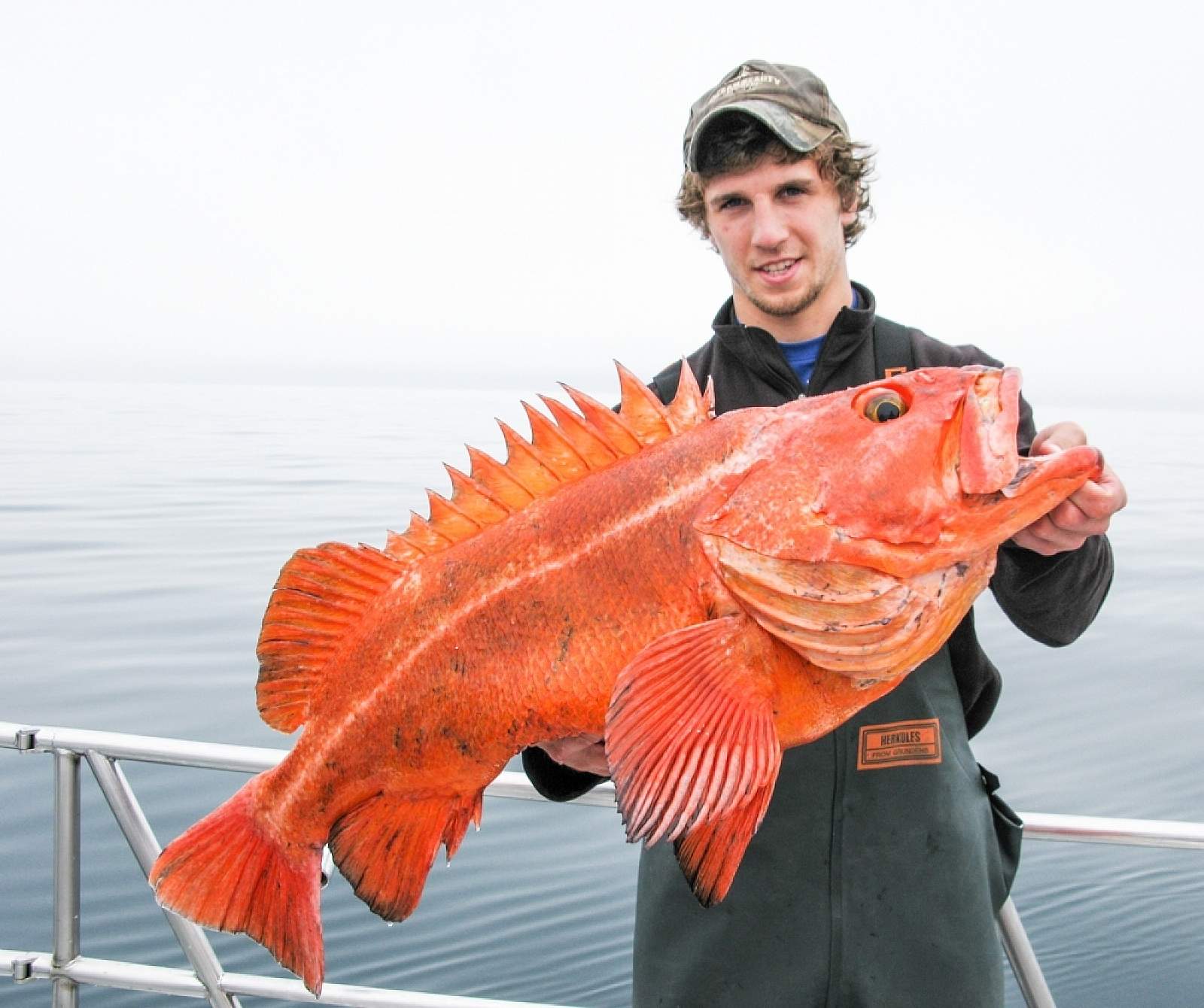 ProFish-n-Sea Charters | Fishing Chater From Seward | ALASKA.ORG