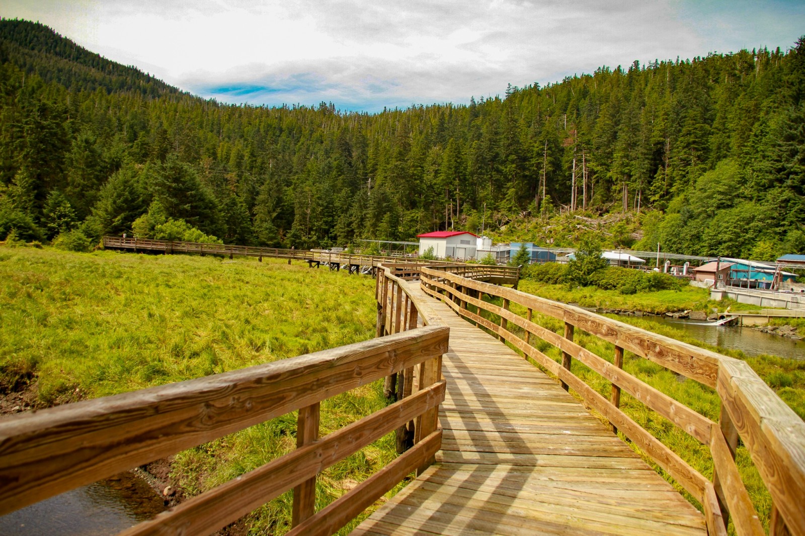 Rainforest Sanctuary, Totem Park & Eagles Tour |… | ALASKA.ORG