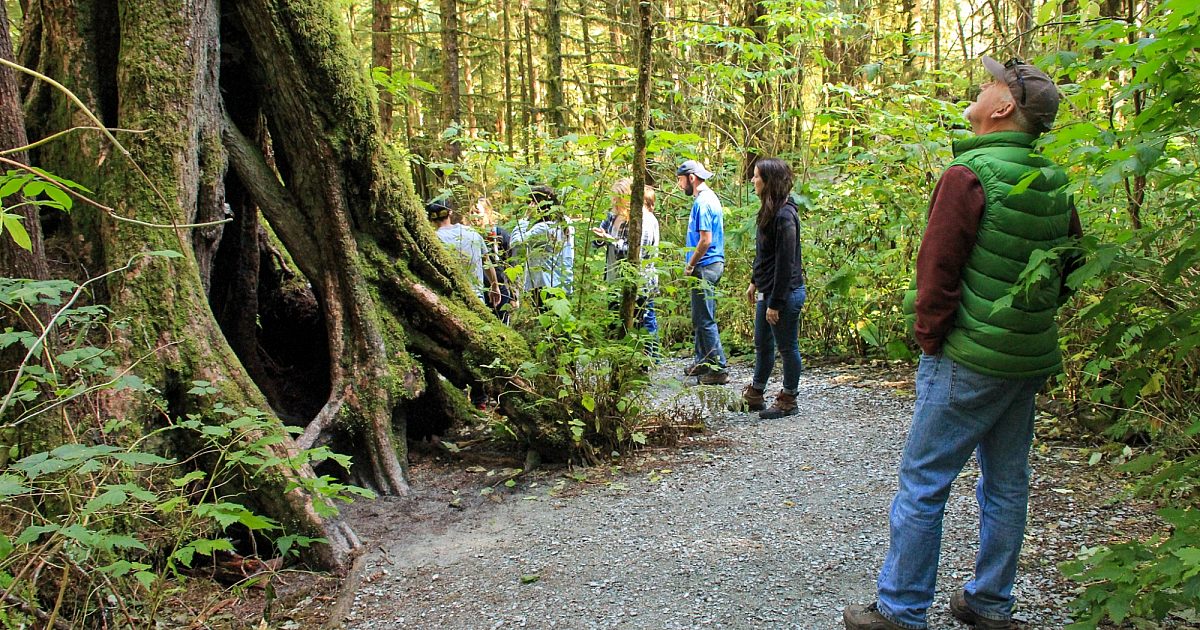 Walking Tours Throughout Ketchikan, Alaska | ALASKA.ORG