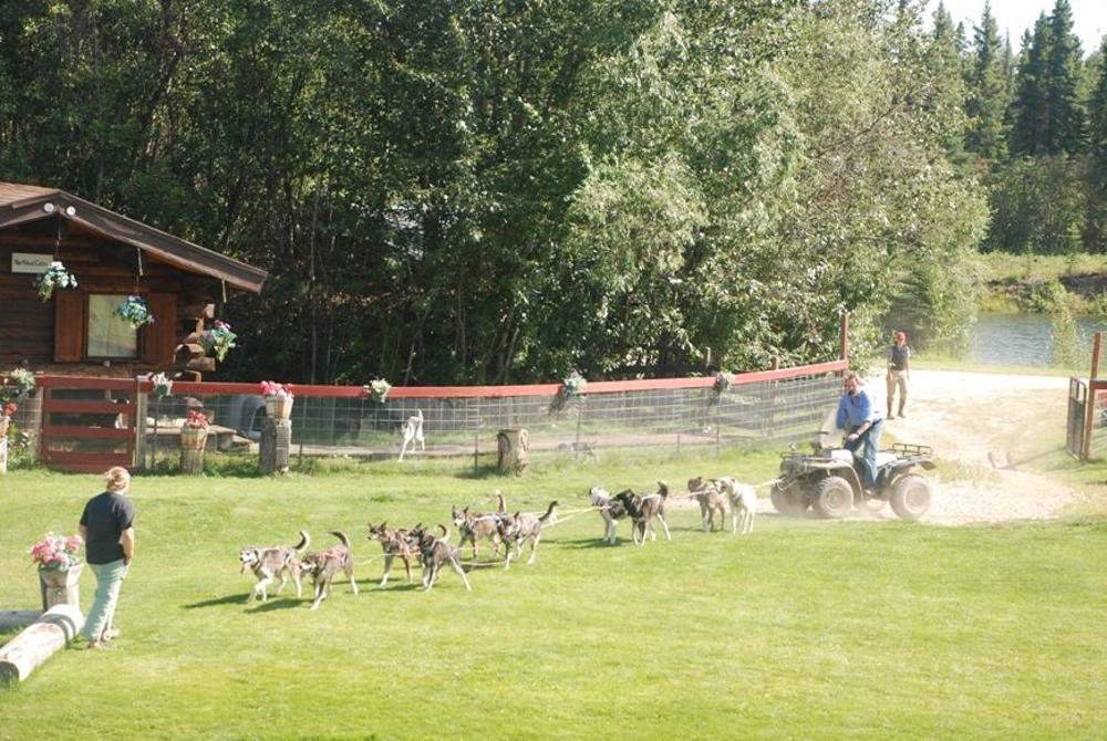Riverboat Discovery | Ride An Alaskan Sternwheeler In… | ALASKA.ORG