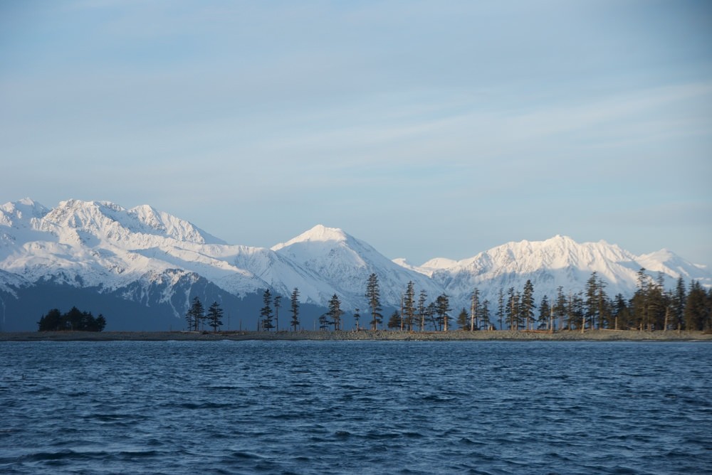 Seward Ocean Excursions | Year-round charter boat in… | ALASKA.ORG