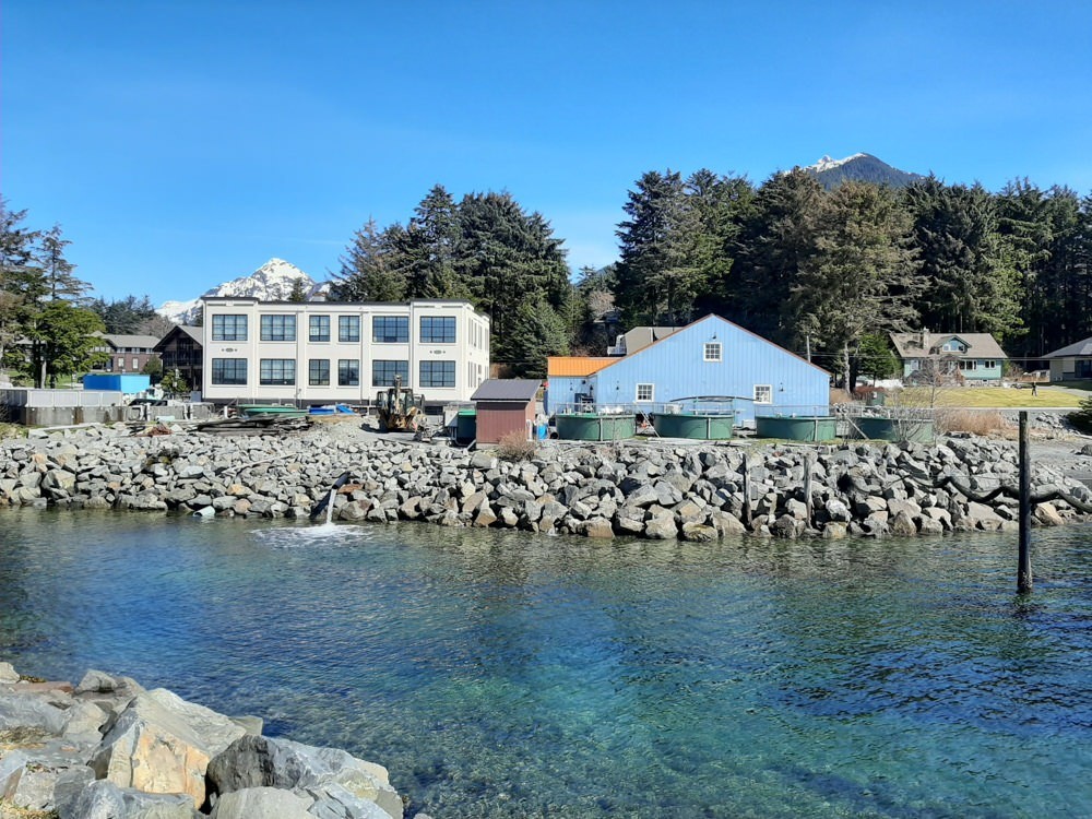 Sitka Sound Science Center | Salmon Hatchery, Aquarium,… | ALASKA.ORG