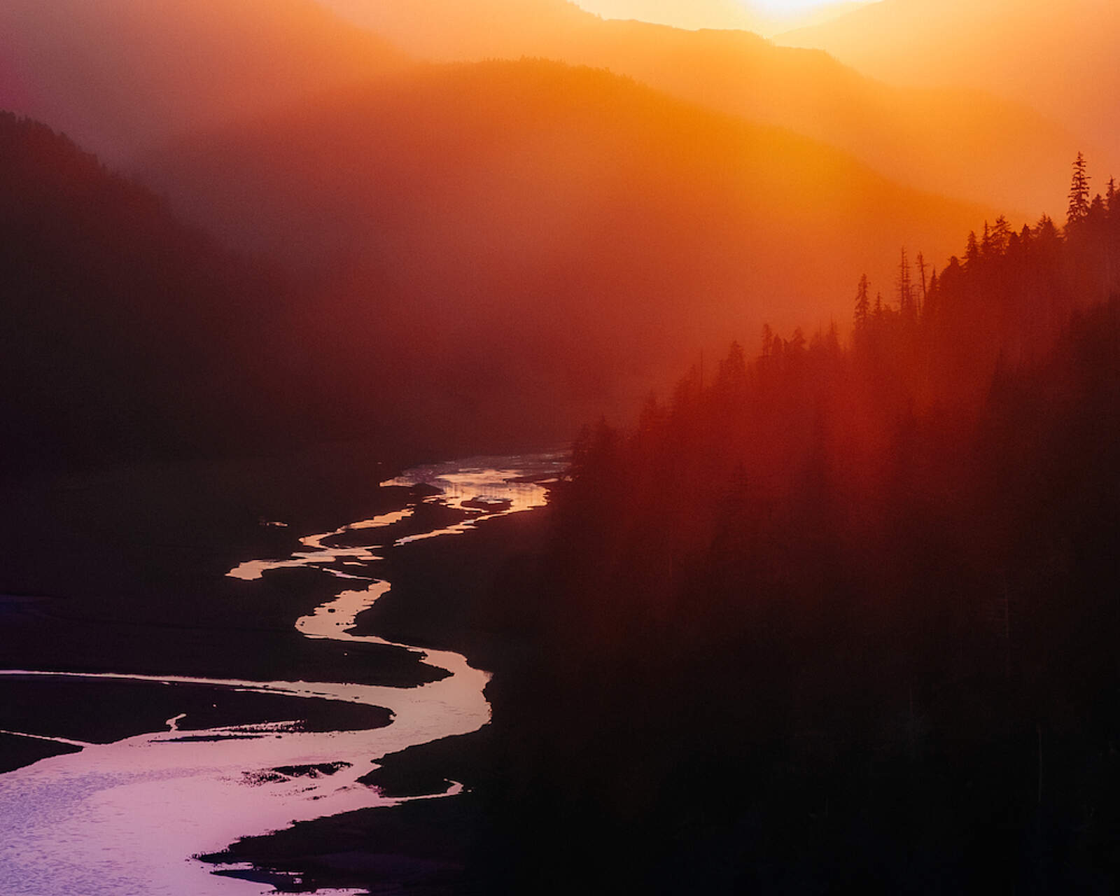 Sitka’s Hidden Wonders | Watch in Downtown Sitka | ALASKA.ORG