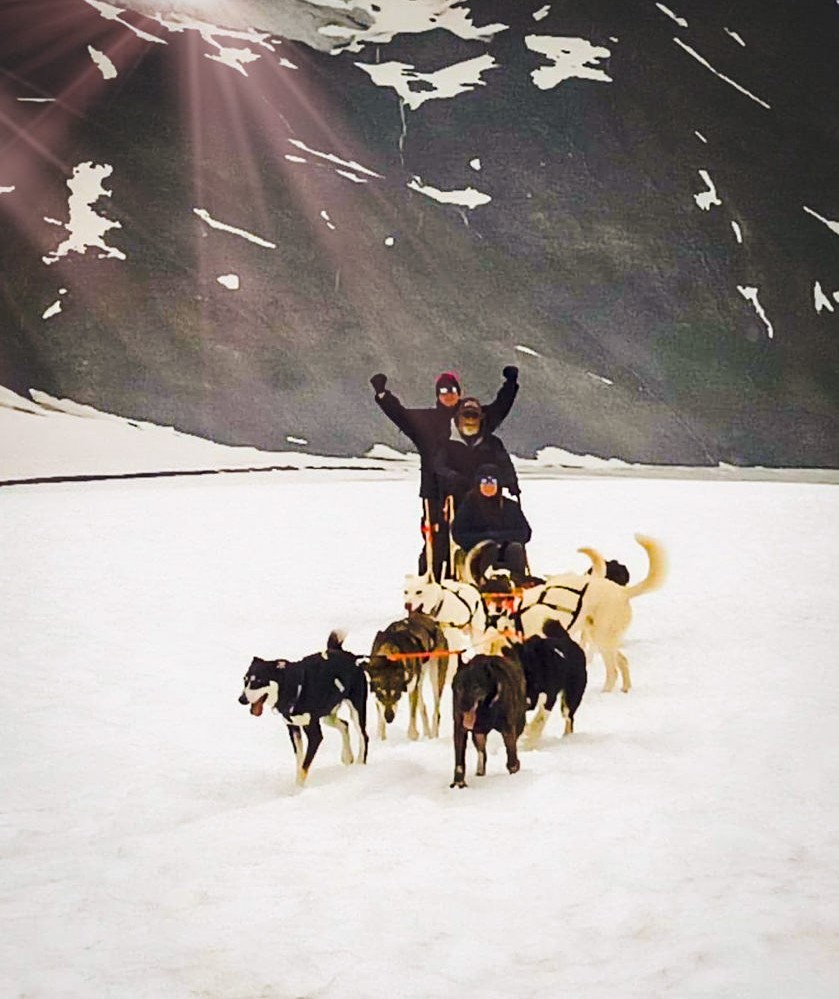 Snowhook Adventure Guides Dog Sled Tours | Iditarod Sled… | ALASKA.ORG