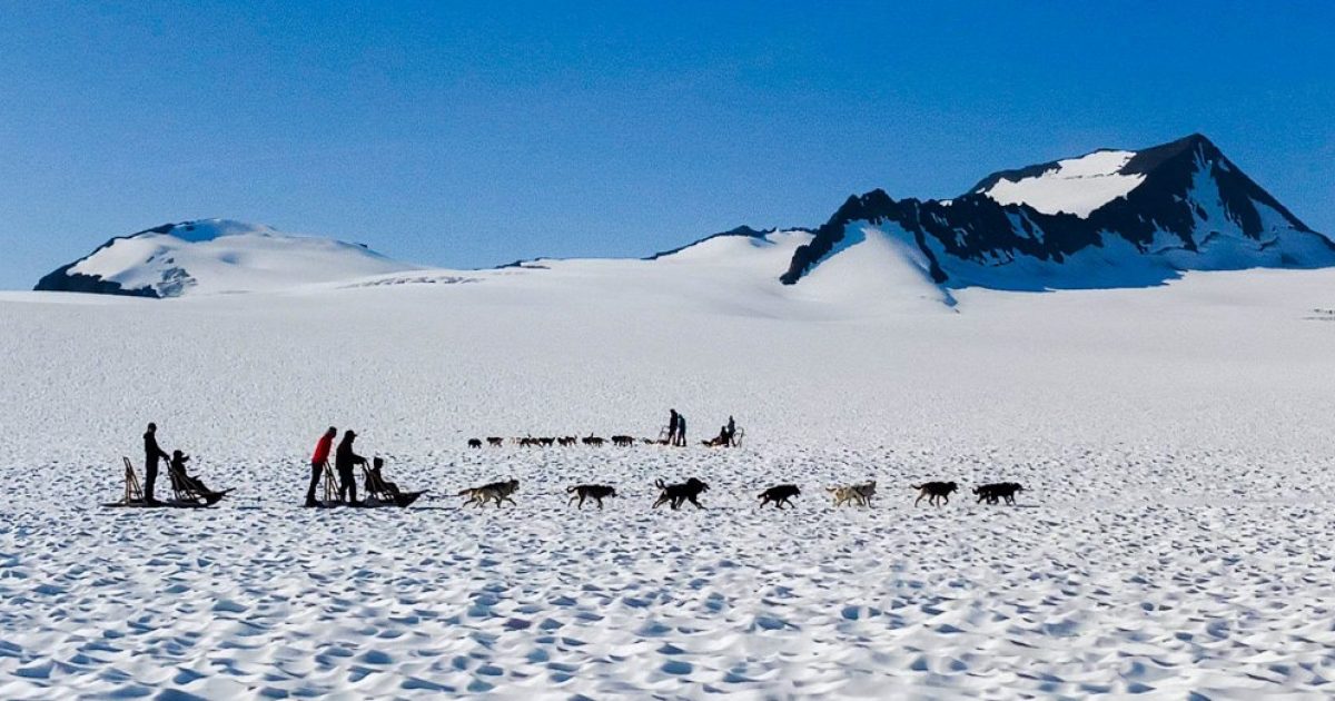 Snowhook Adventure Guides Dog Sled Tours | Iditarod Sled… | ALASKA.ORG