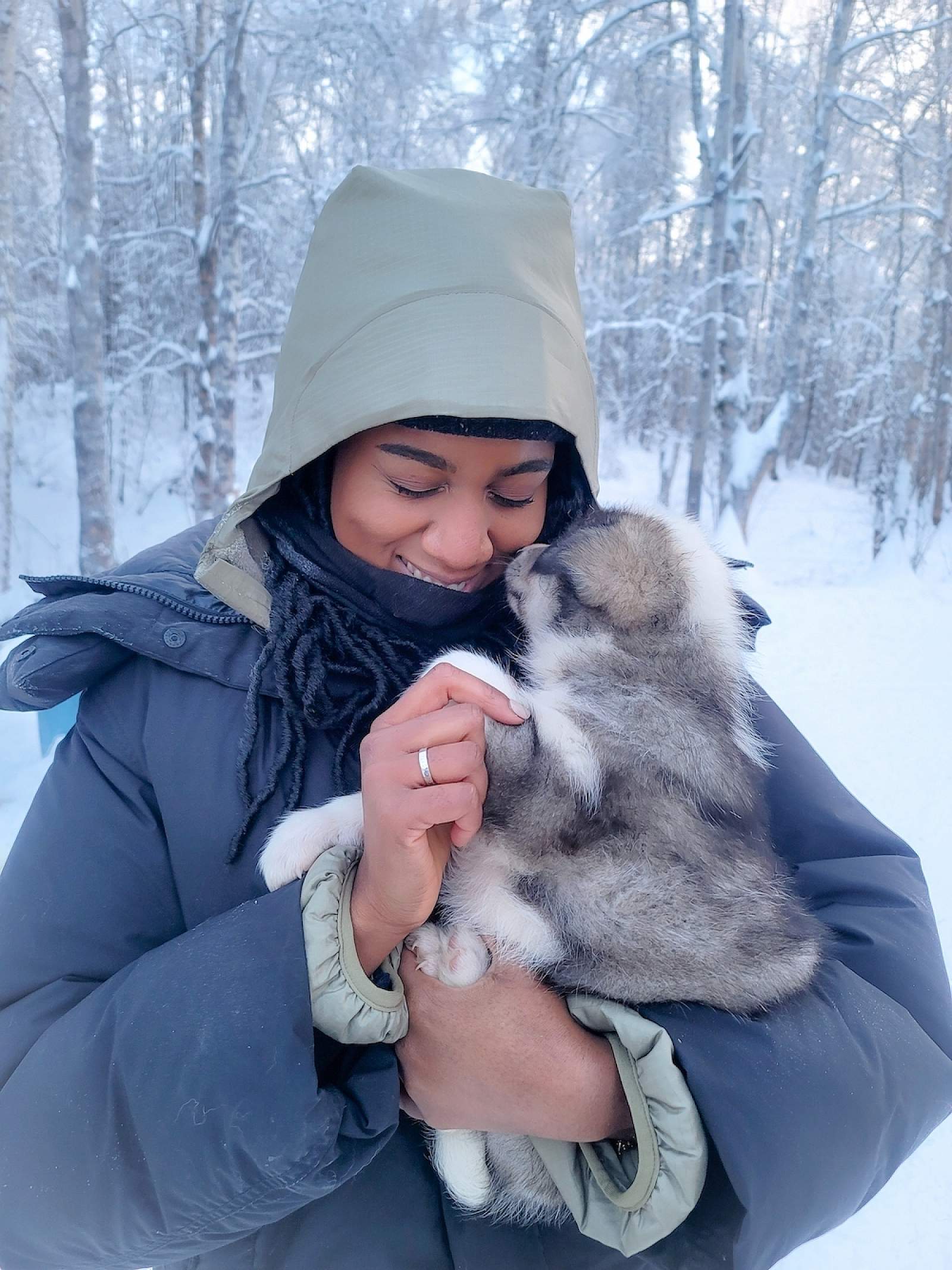 Snowhook Adventure Guides Dog Sled Tours | Year-Round… | ALASKA.ORG