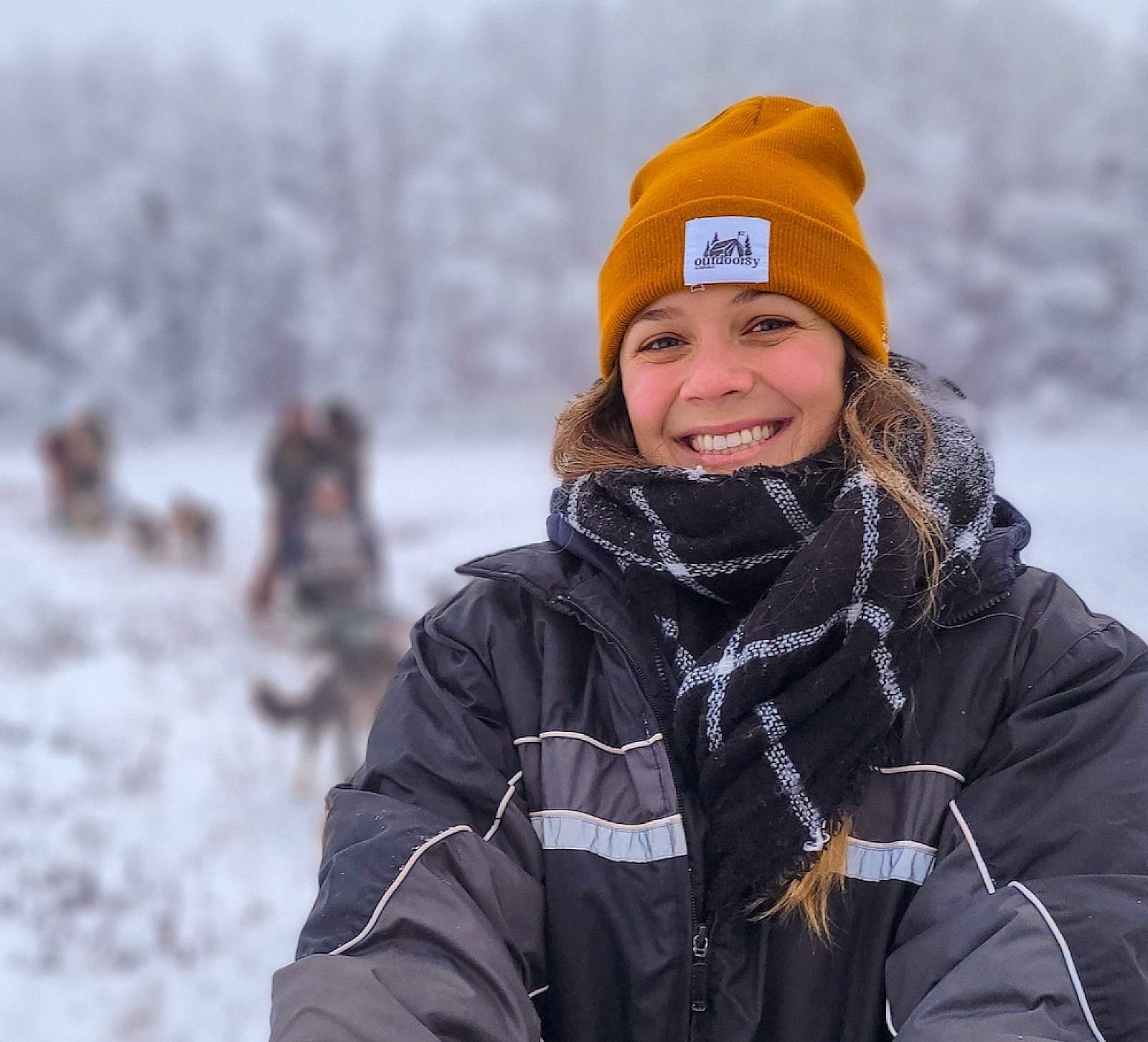 Snowhook Adventure Guides Dog Sled Tours | Year-Round… | ALASKA.ORG