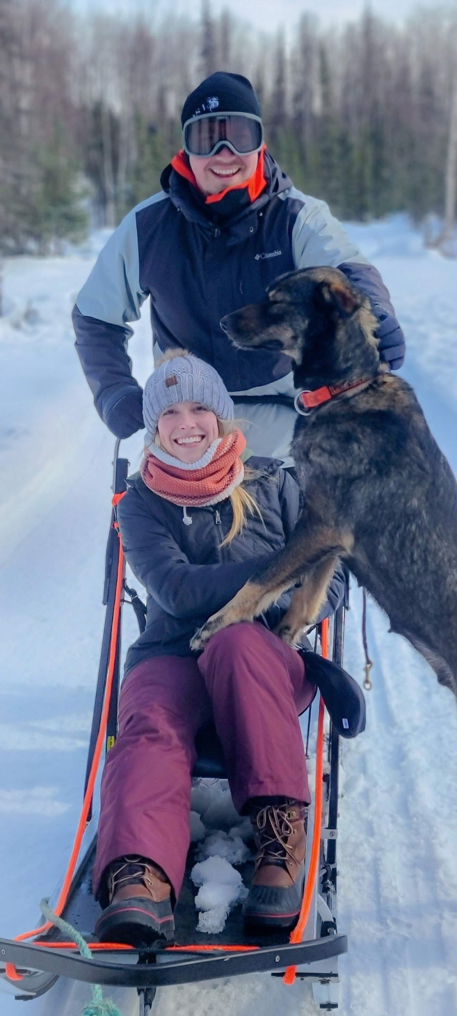 Snowhook Adventure Guides Dog Sled Tours | Year-Round… | ALASKA.ORG