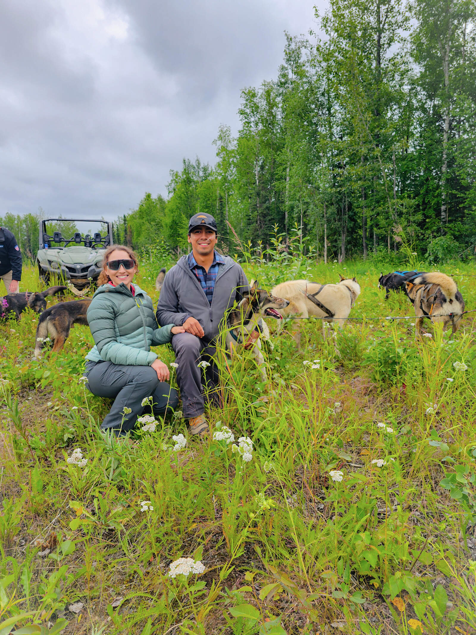 Snowhook Adventure Guides Dog Sled Tours | Year-Round… | ALASKA.ORG