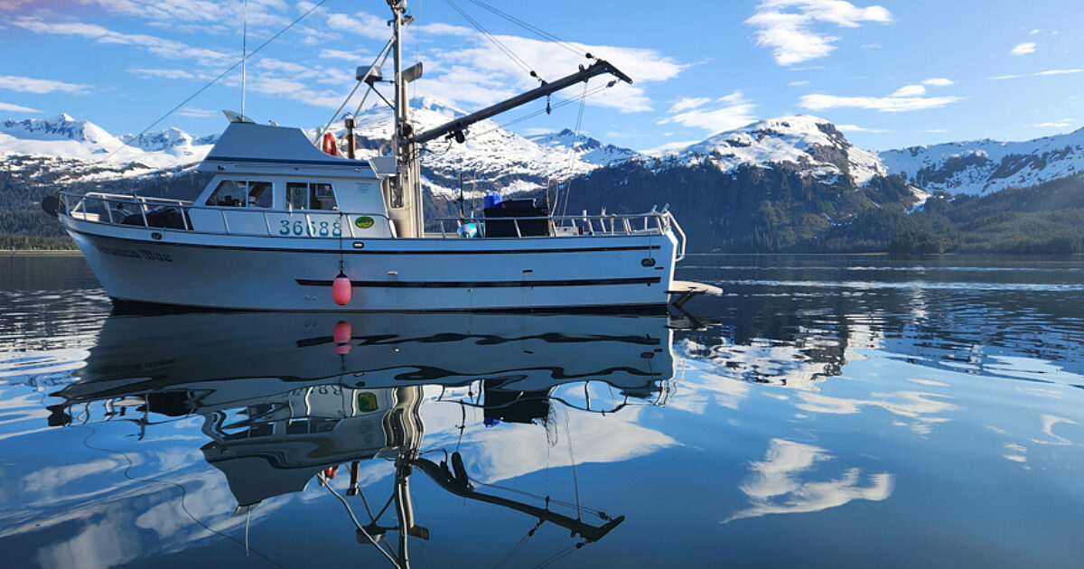 Sound Adventure Charters | Prince William | ALASKA.ORG