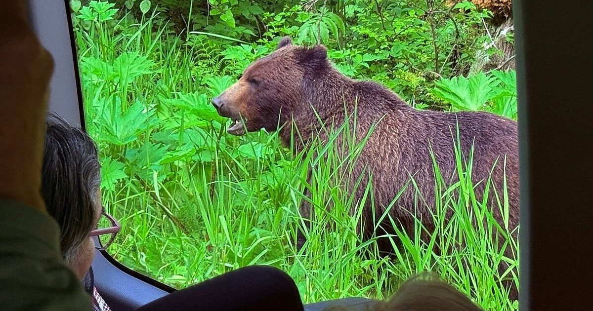 Wilderness Island Tours | Hoonah Sightseeing & Wildlife… | ALASKA.ORG
