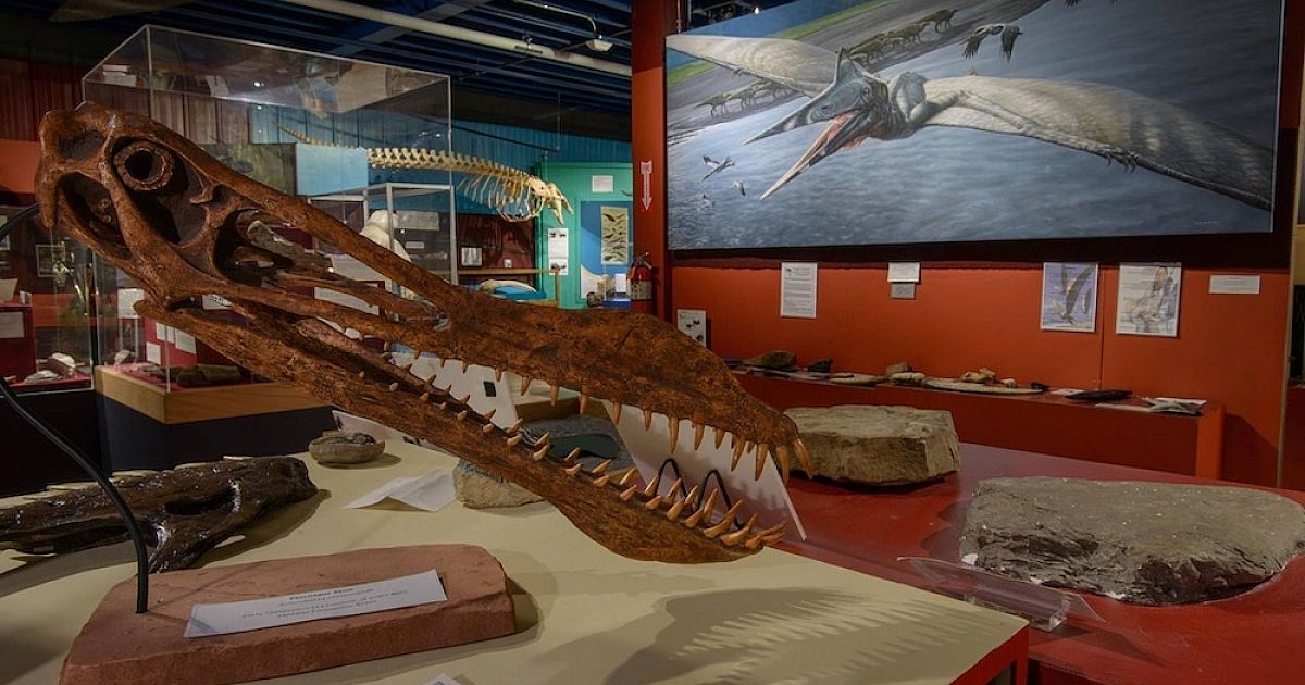 Alaska Museum of Science & Nature | ALASKA.ORG