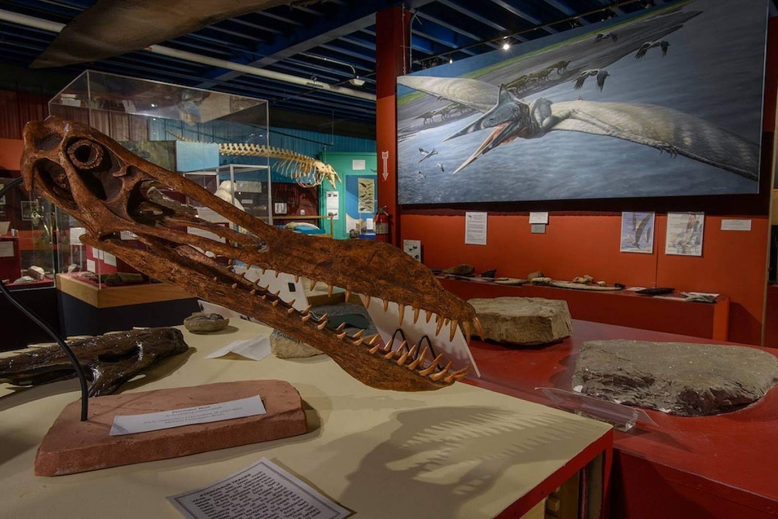 Alaska Vacations & Travel Advice from Trusted Alaskans | ALASKA.ORG