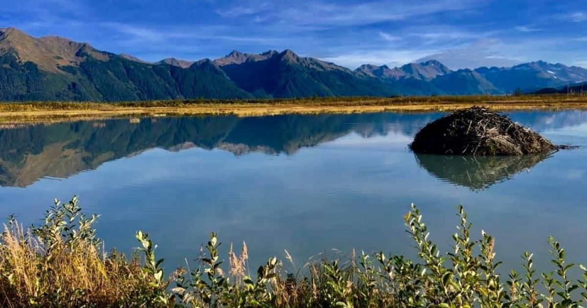 Beaver Lodge | ALASKA.ORG