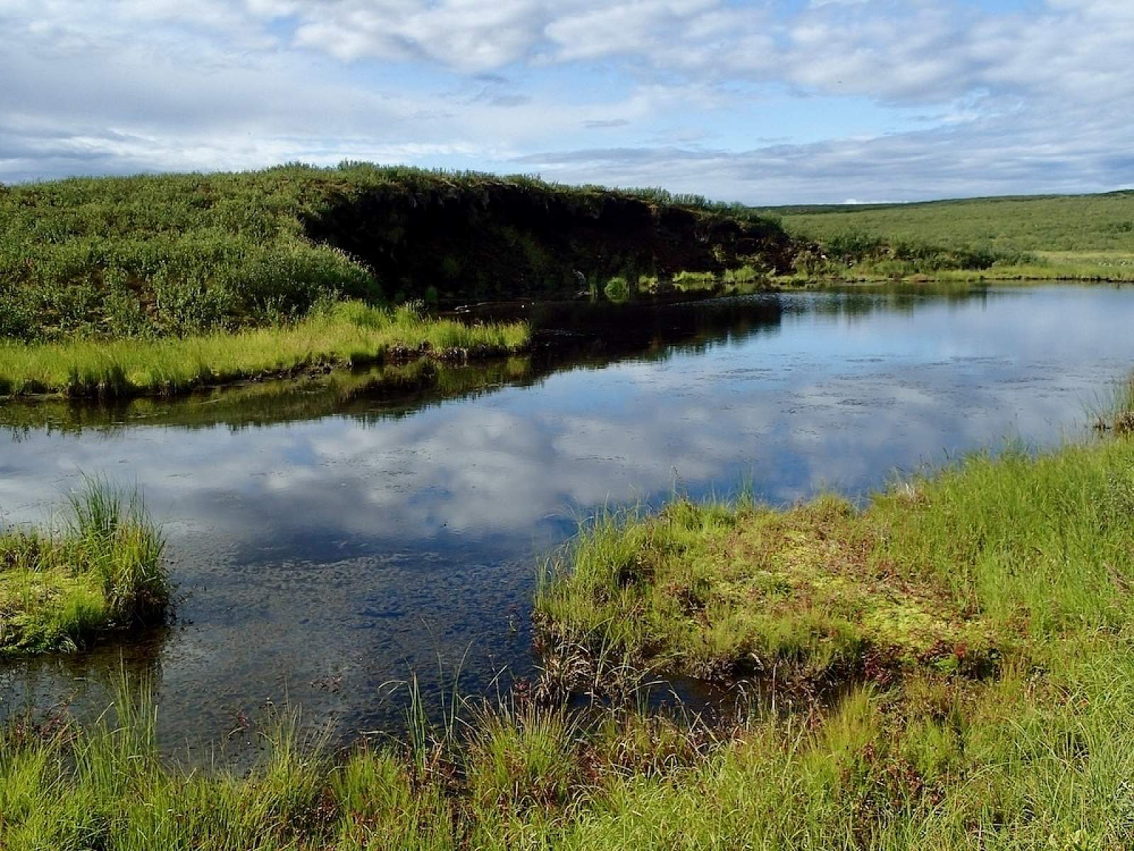 Palsa MP 41 | Denali Highway | ALASKA.ORG