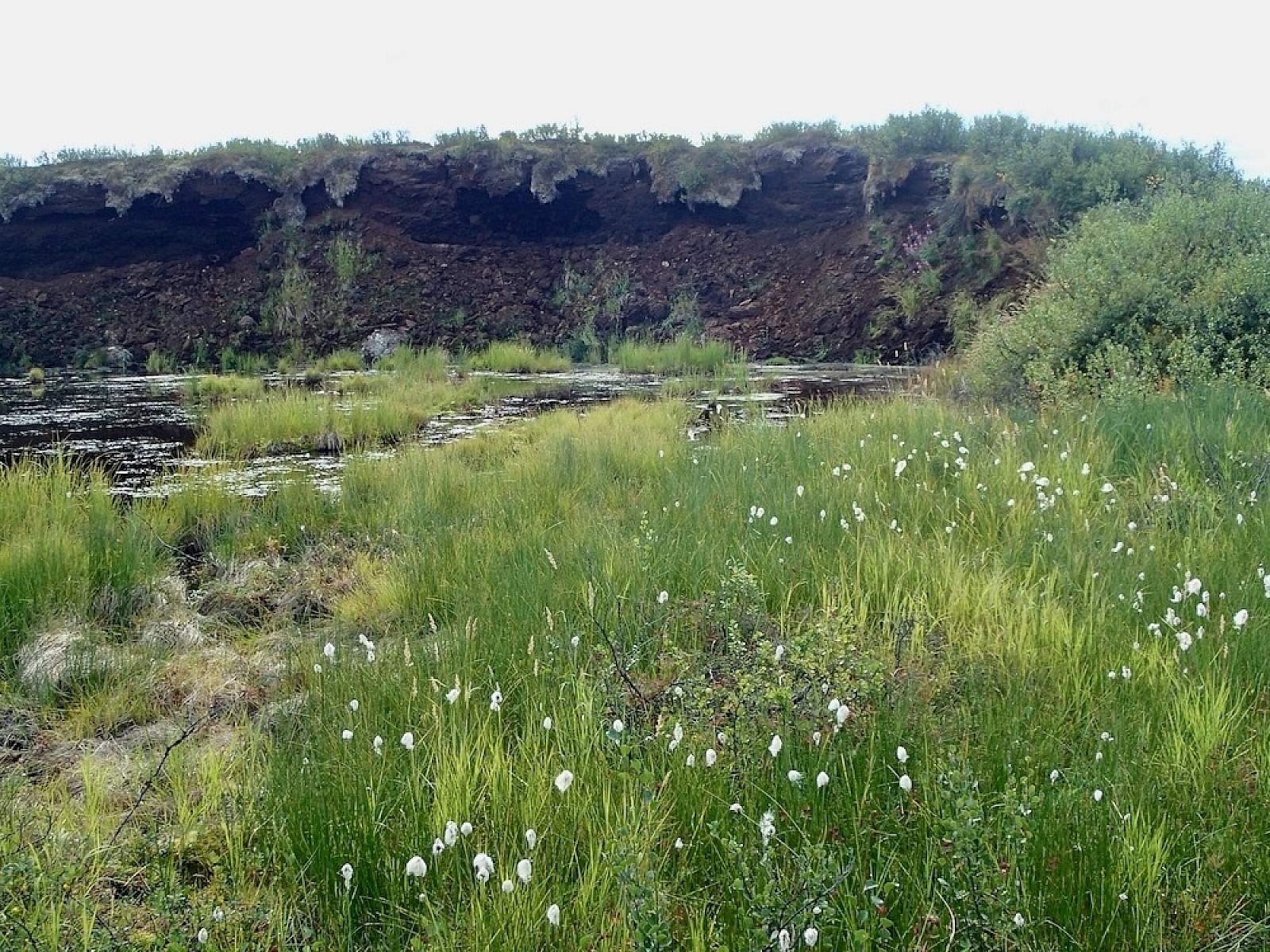 Palsa MP 41 | Denali Highway | ALASKA.ORG