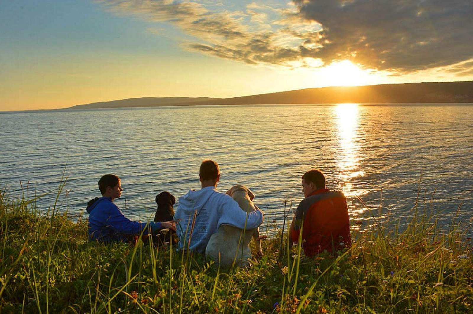 Homer Chamber of Commerce & Visitor Center | ALASKA.ORG