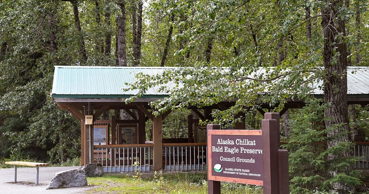 Alaska Chilkat Bald Eagle Preserve Trail | Haines Parks… | ALASKA.ORG