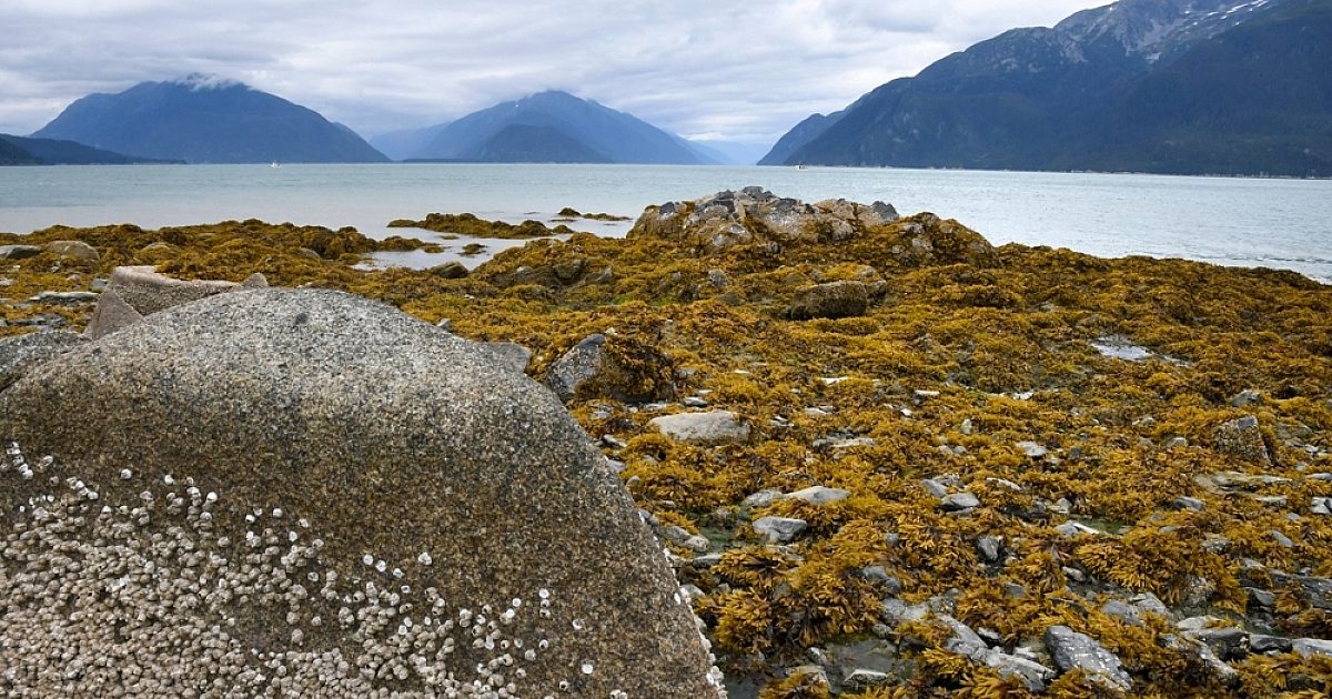 Battery Point Beaches | Haines Beach Directory | ALASKA.ORG