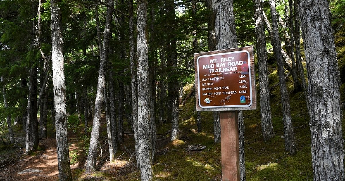Mount Riley Trail | ALASKA.ORG