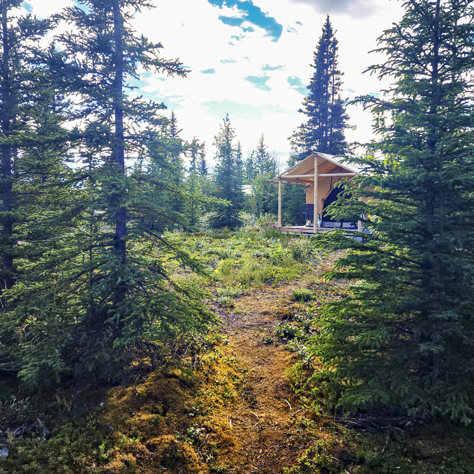 Camp McCarthy | Luxury Camping in McCarthy, Alaska | ALASKA.ORG