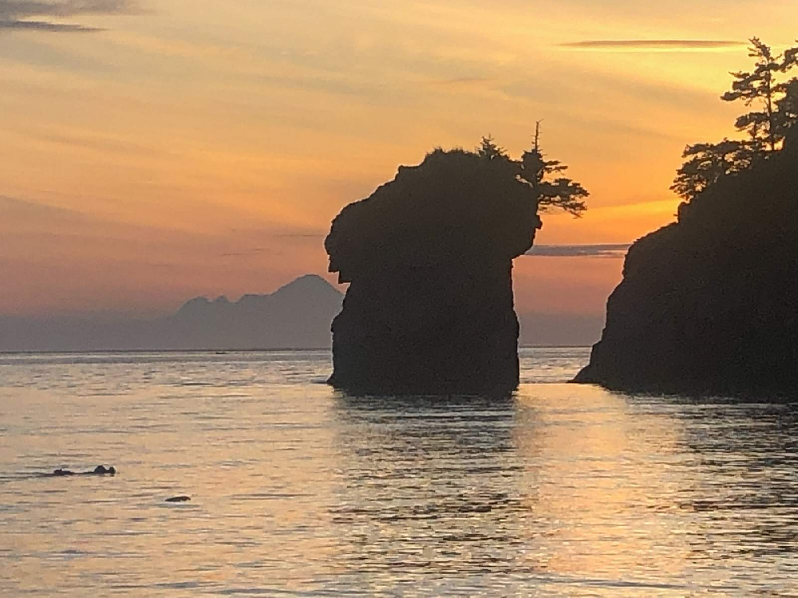 Treehouse Cove Wilderness Lodge | | ALASKA.ORG