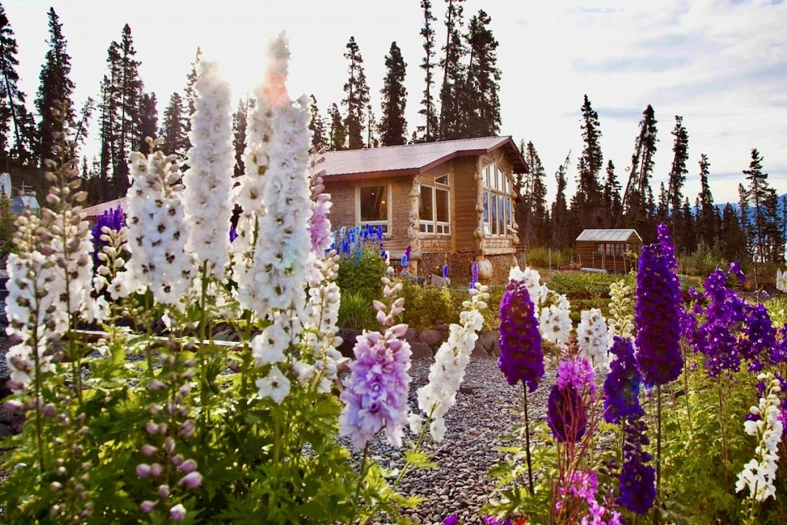 Ultima Thule Lodge + Iniakuk Lake Wilderness Lodge | ALASKA.ORG