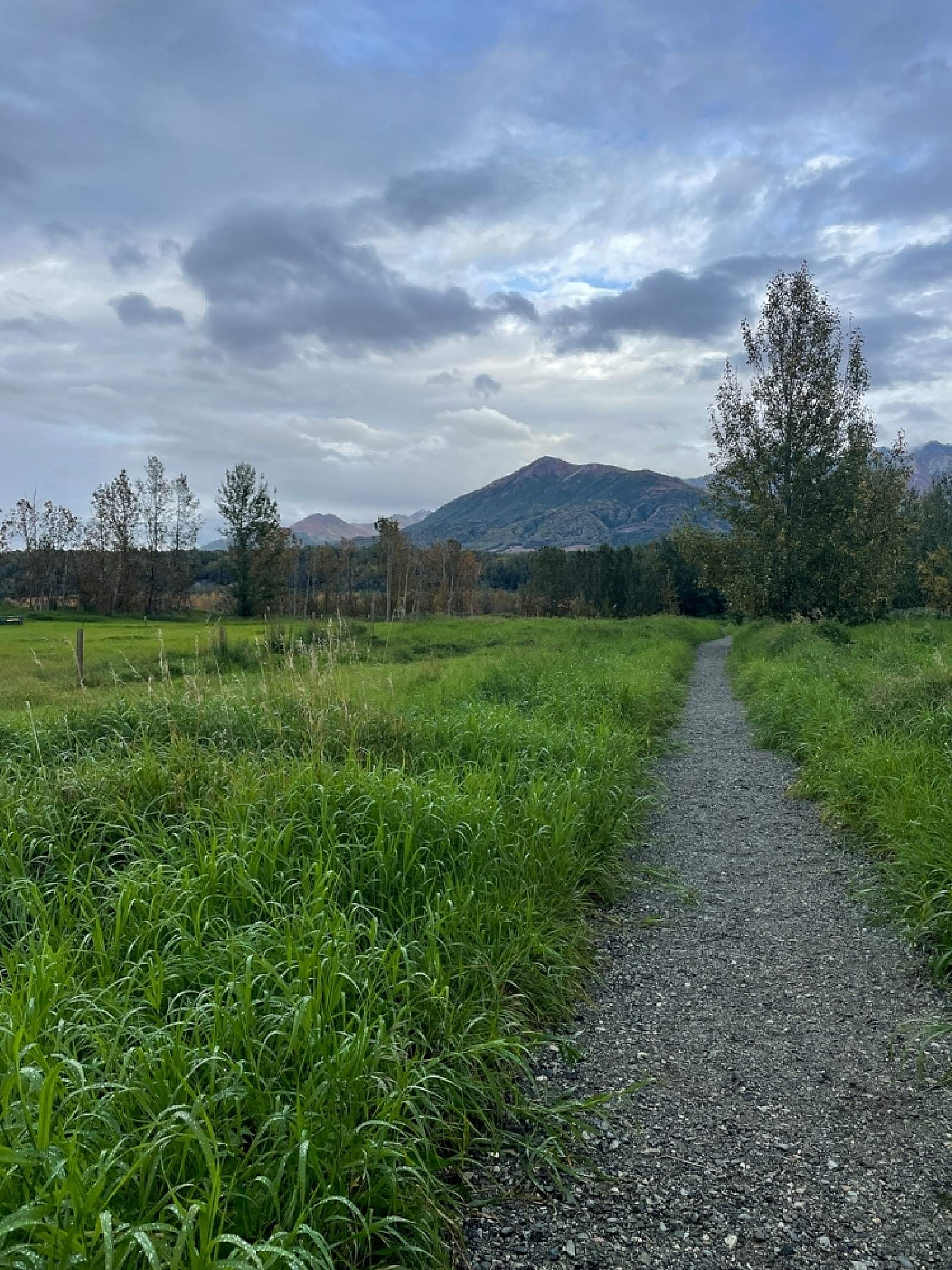 Matanuska River Park Trails | Family-friendly Trail near… | ALASKA.ORG