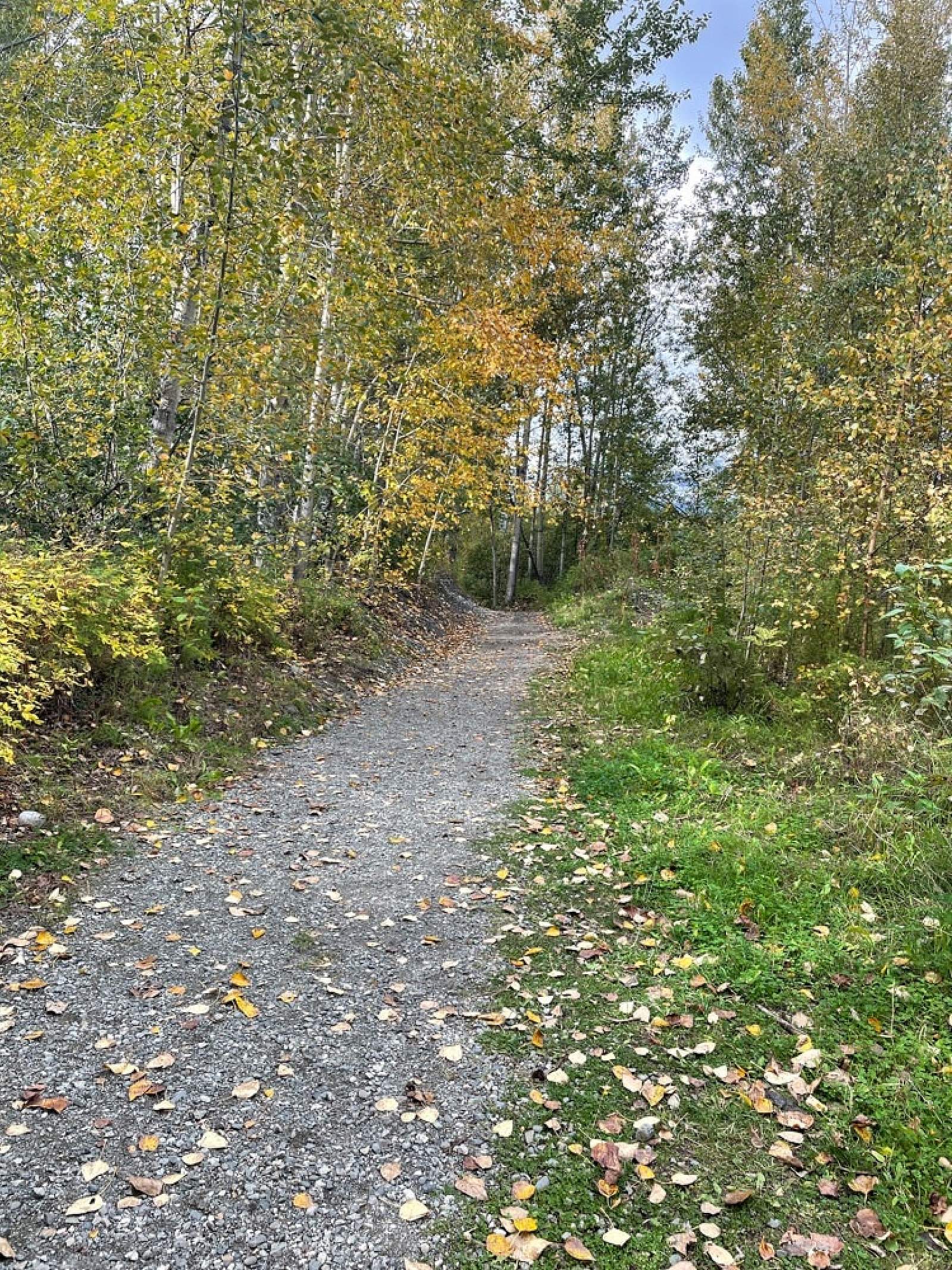 Matanuska River Park Trails | Family-friendly Trail near… | ALASKA.ORG