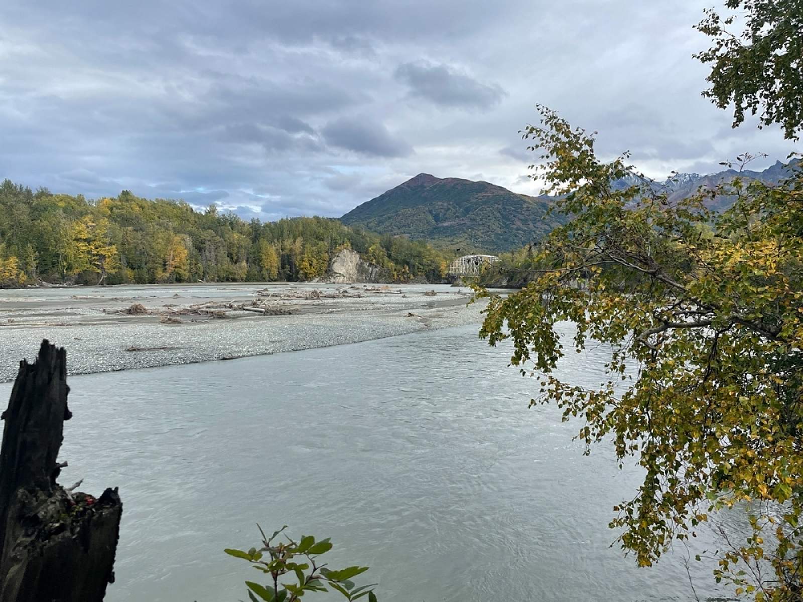 Matanuska River Park Trails | Family-friendly Trail near… | ALASKA.ORG