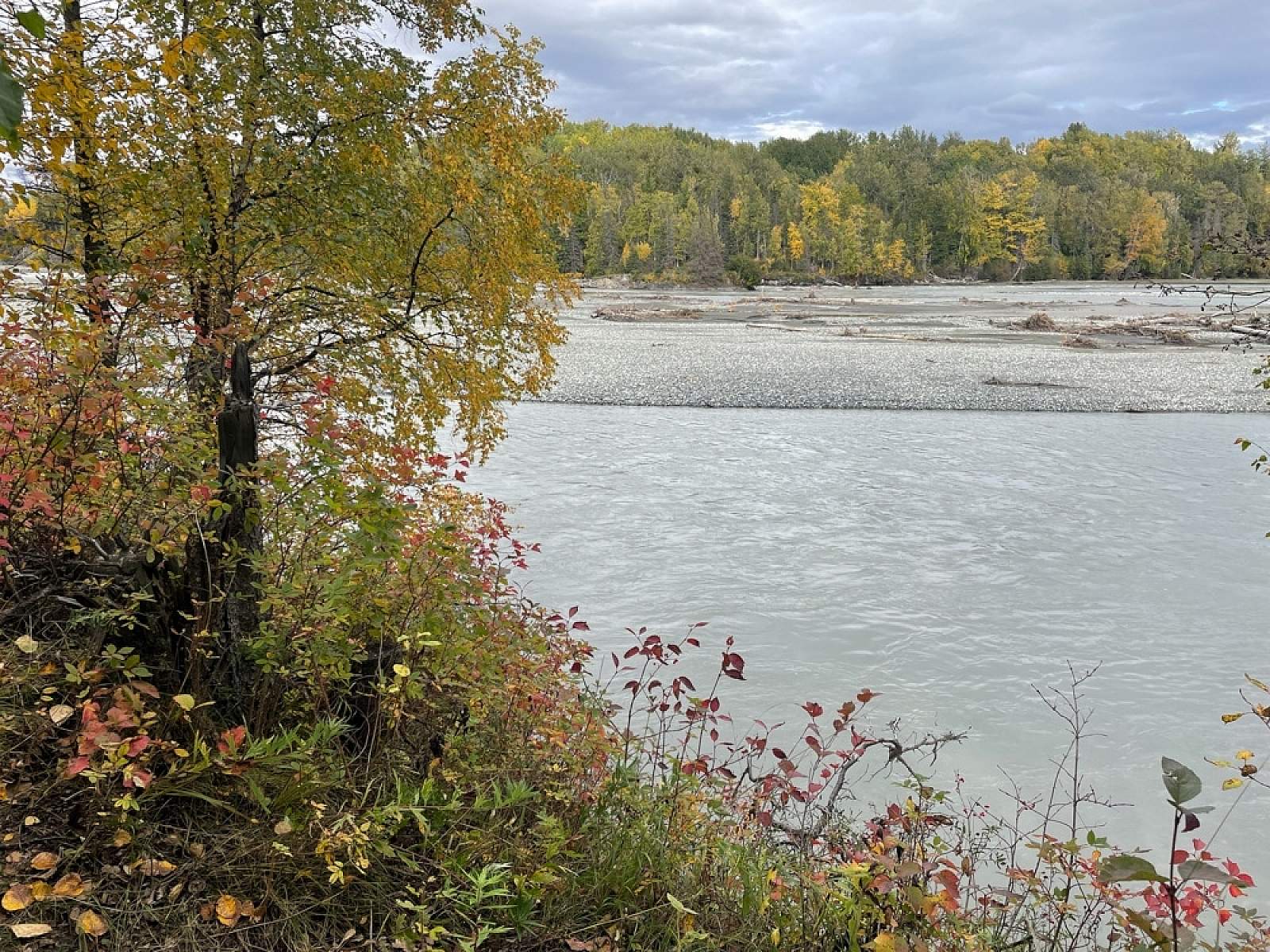 Matanuska River Park Trails | Family-friendly Trail near… | ALASKA.ORG